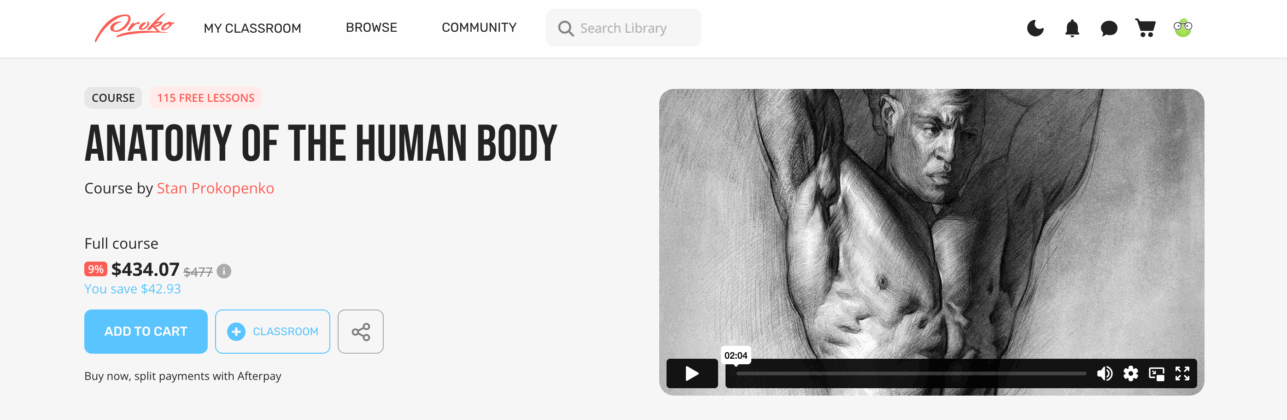 Exploring Proko: A Hub for Aspiring Artists – Geekroo